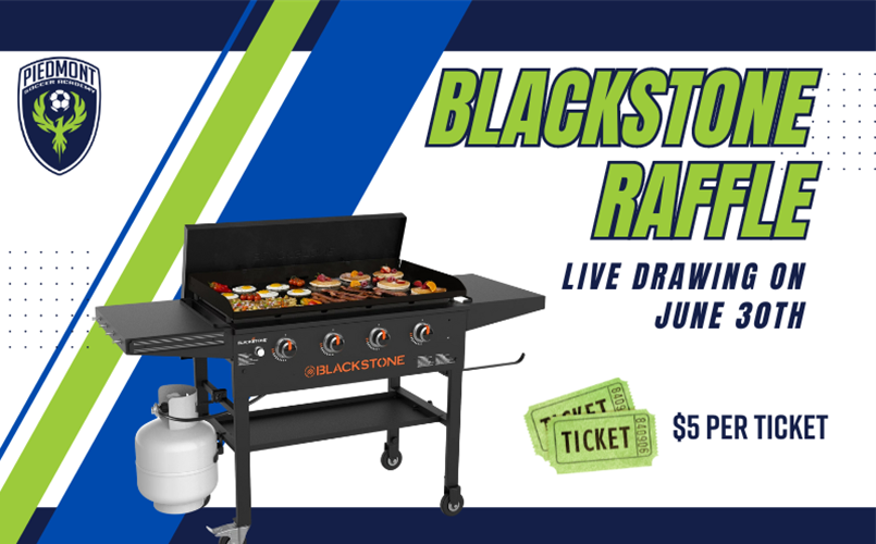 Home [www.piedmontsocceracademy.com]